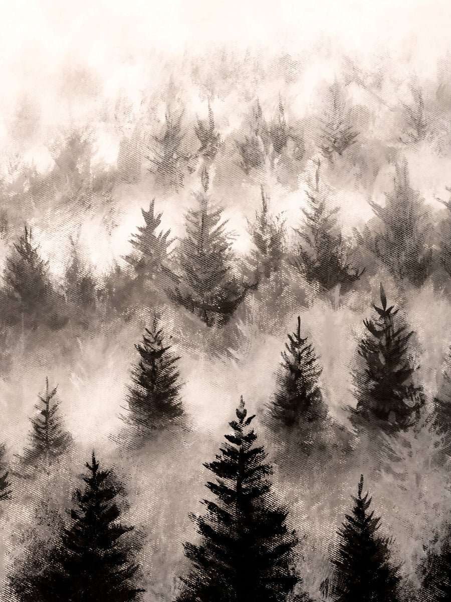Misty Pines – Collection Prints