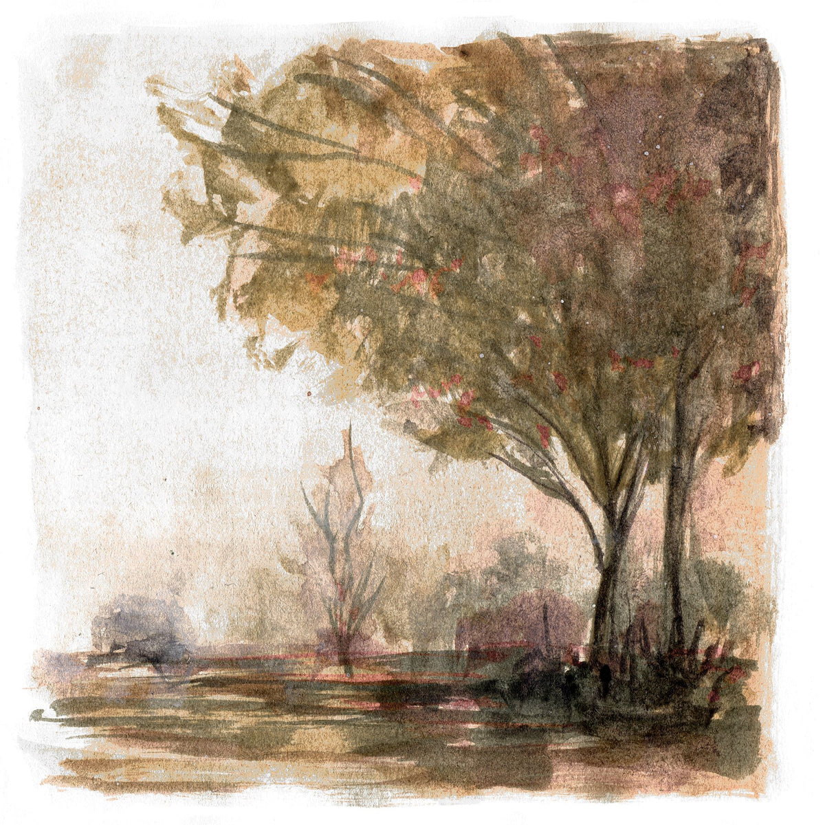 Orchard – Collection Prints