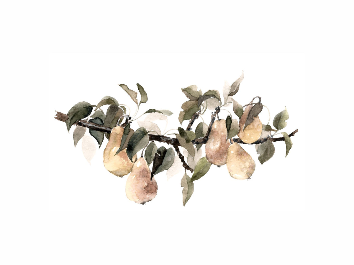 Pears – Collection Prints