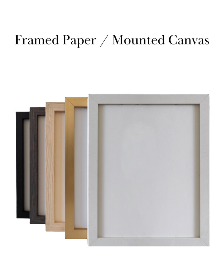 Riverbank II – Collection Prints