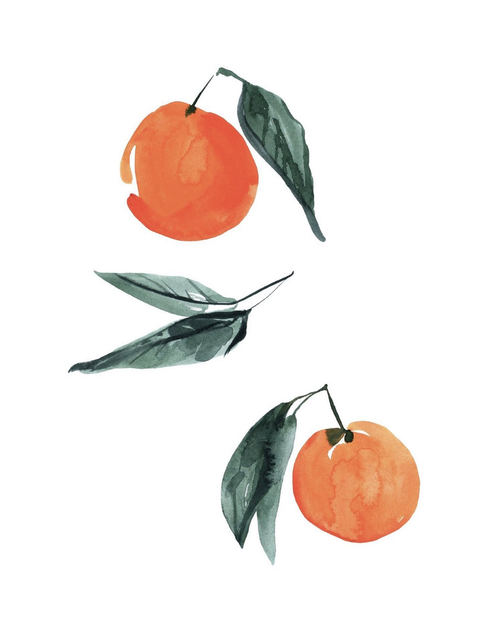 Citrus II – Collection Prints