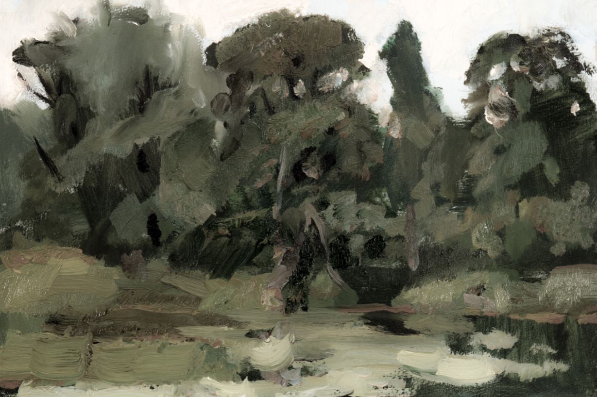Tree Line – Collection Prints