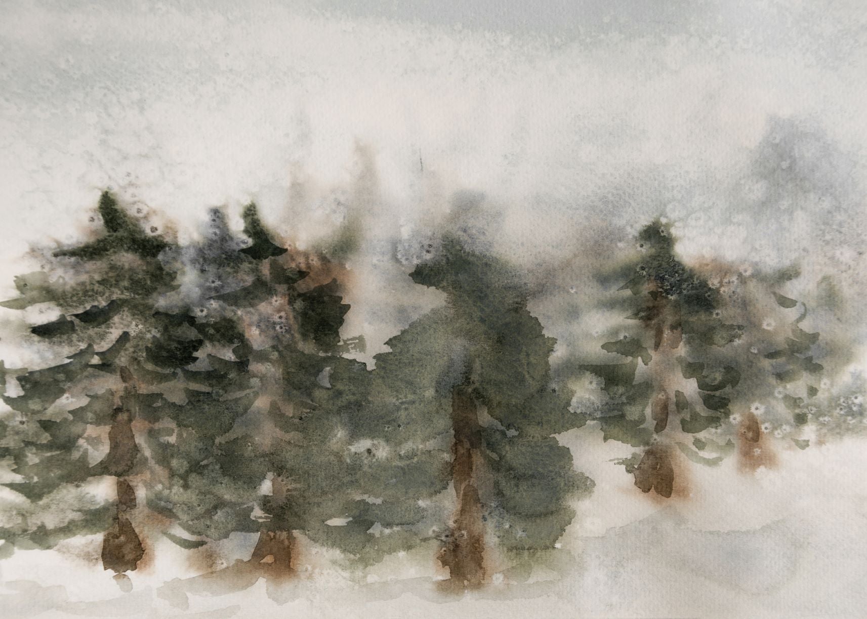 Evergreen – Collection Prints