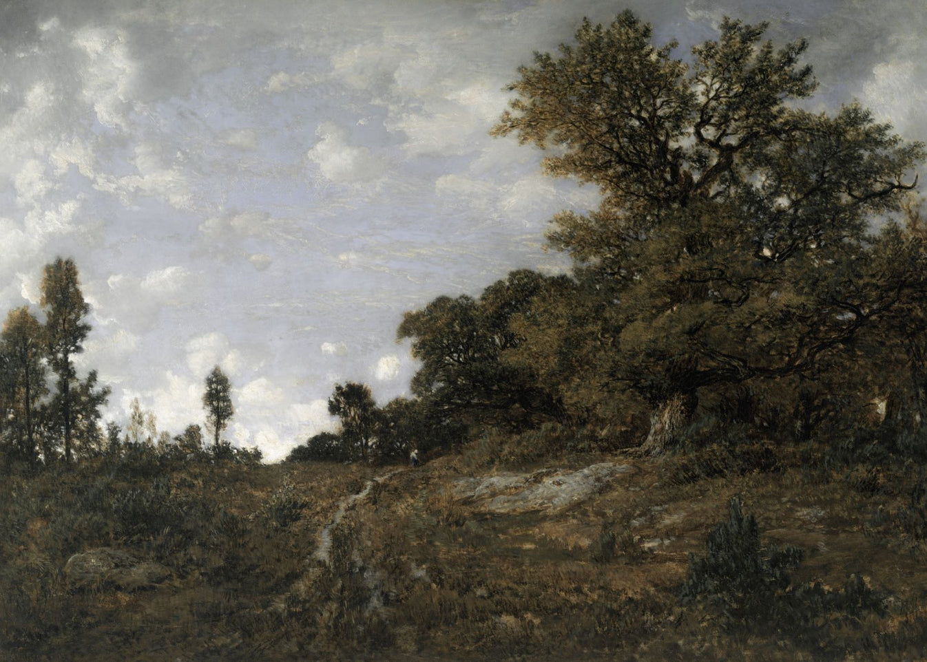 French Forest – Collection Prints