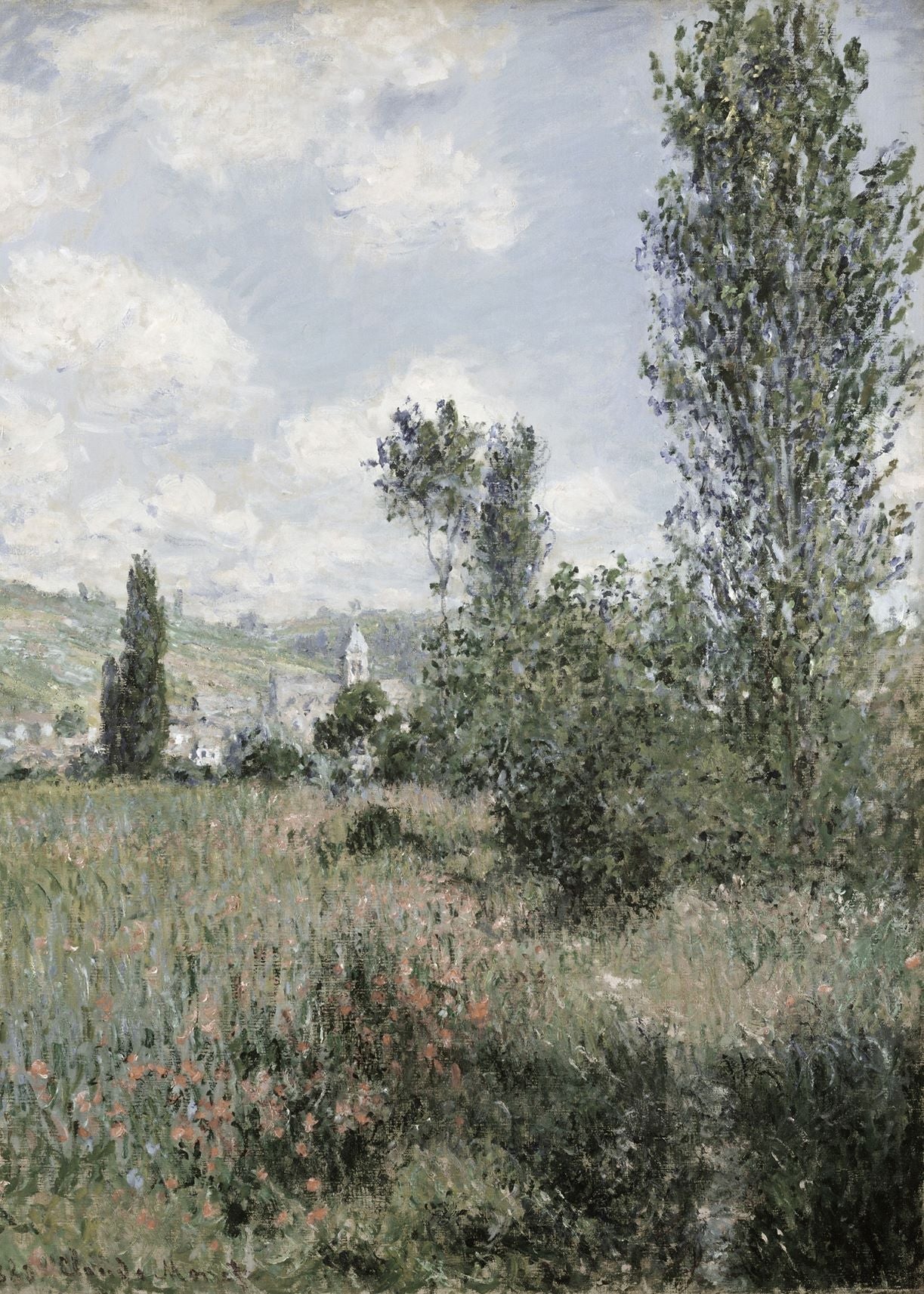 Poppy Field – Collection Prints