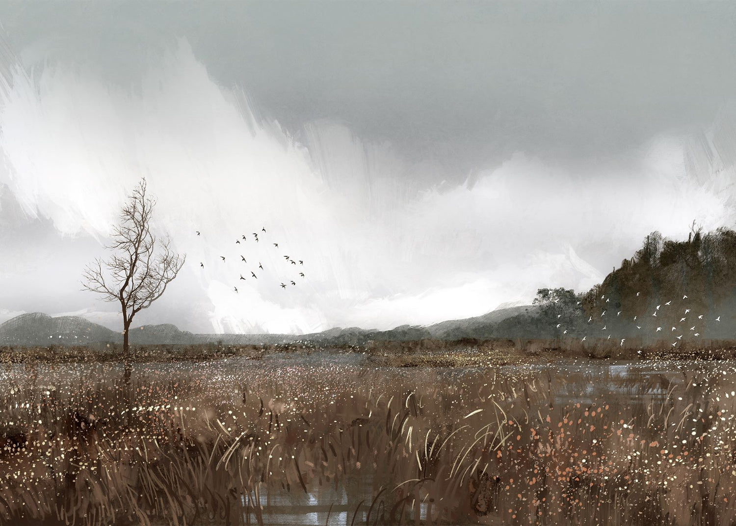 Serenity – Collection Prints