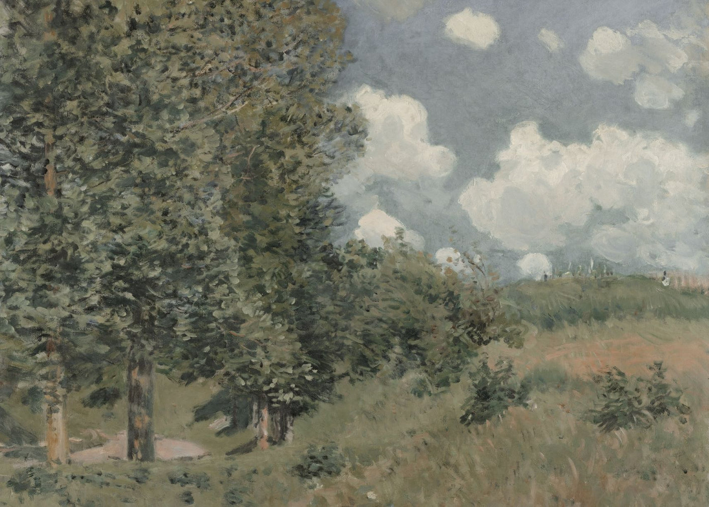 The Field – Collection Prints