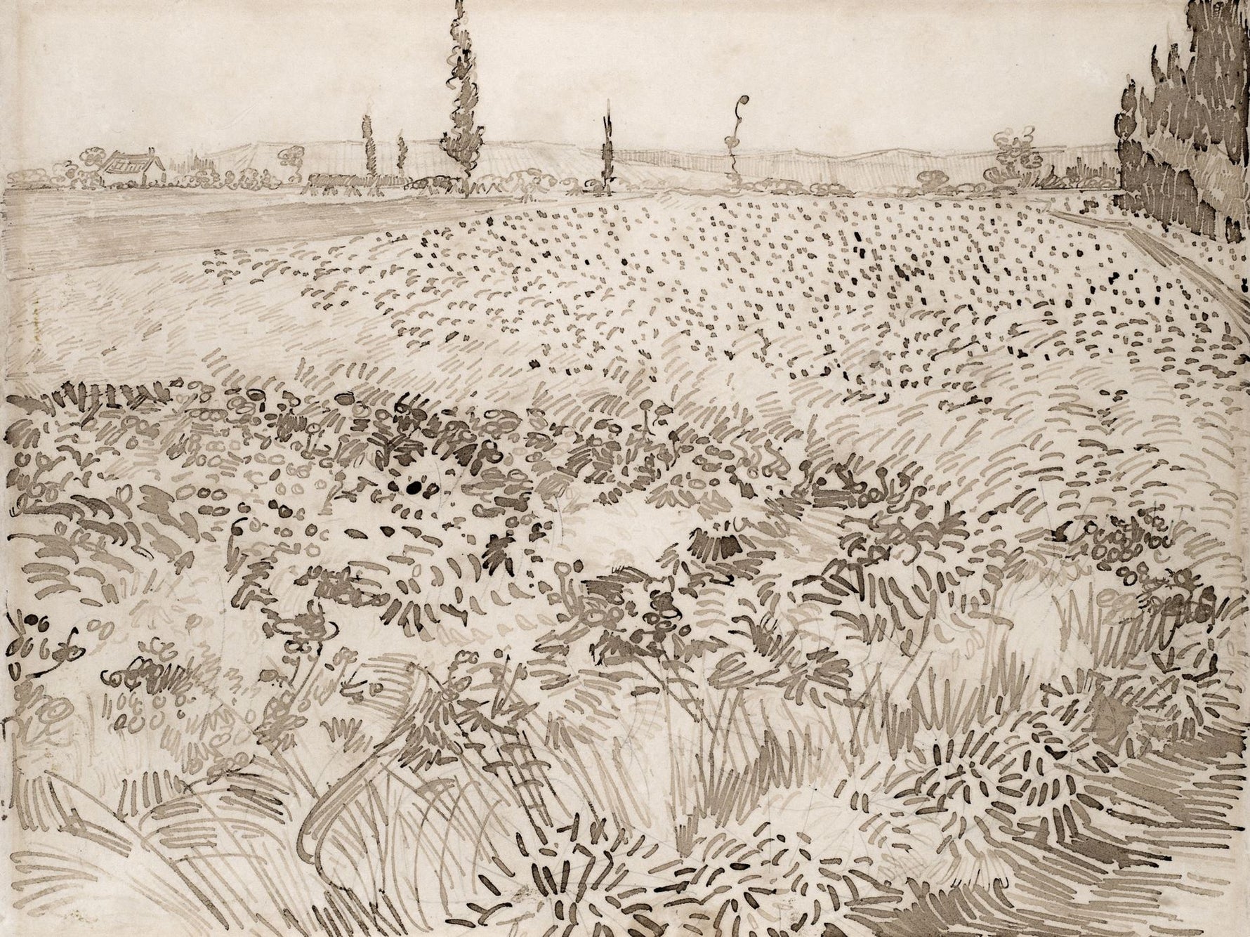 Wheatfield Sketch – Collection Prints