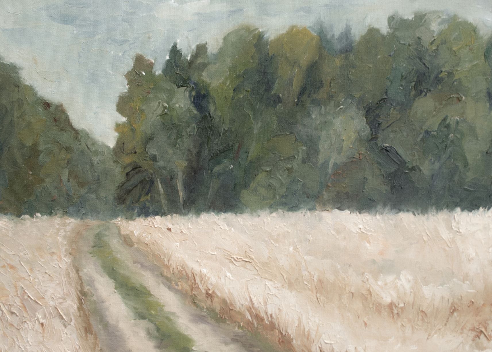 Wheatfield – Collection Prints
